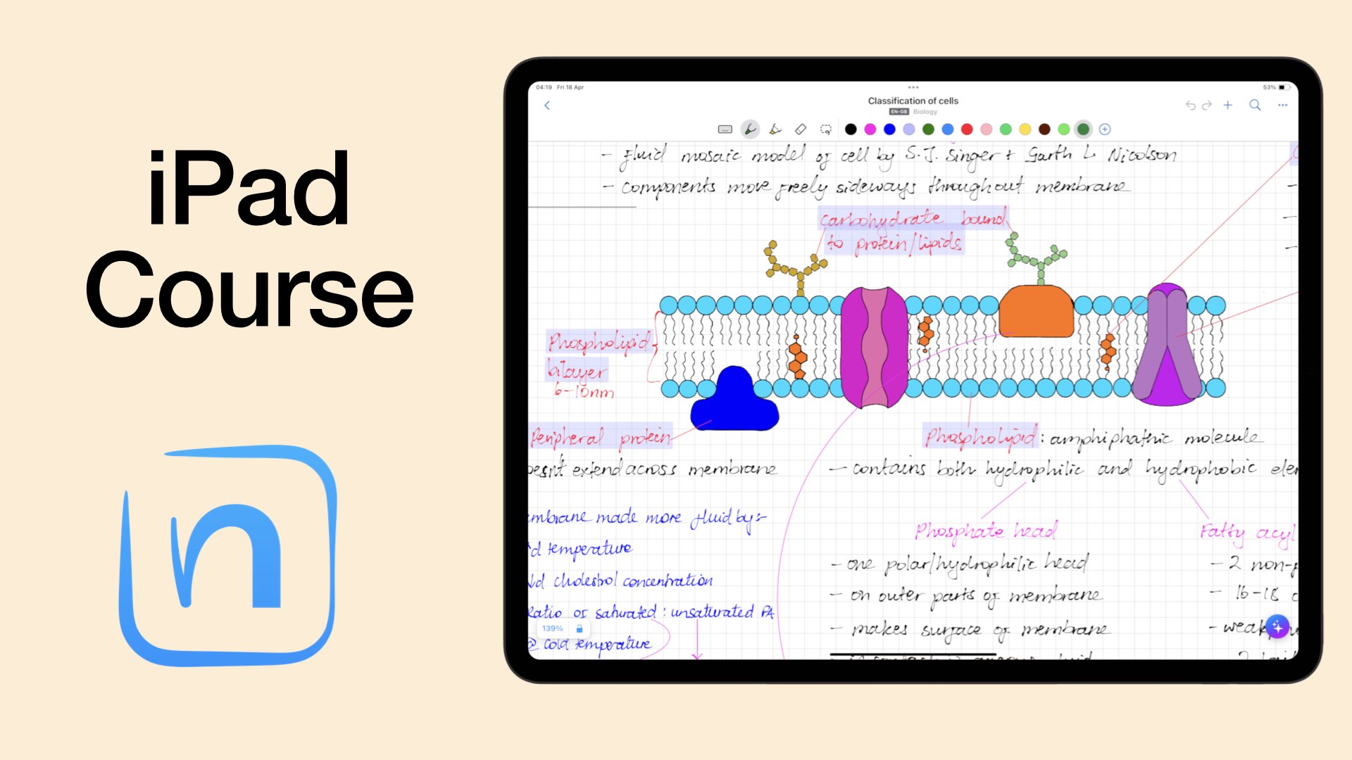 Paid – Paperless Humans